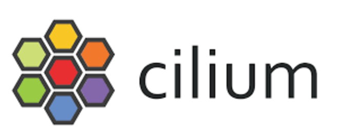 Step into World of CILIUM: A Day 0 Kickoff Guide | by Dinesh Pundkar ...
