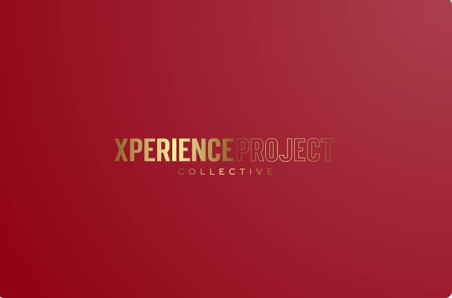WHAT IS THE EXPERIENCE PROJECT COLLECTIVE? Xperience Project is a ...