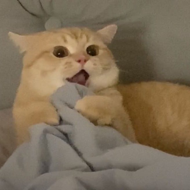 Understanding Decision Trees: A Comprehensive Guide | by Alvin Octa ...