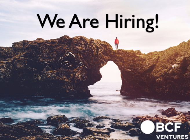 BCF Ventures is Seeking New Venture Capital Analysts! | by BCF Ventures ...