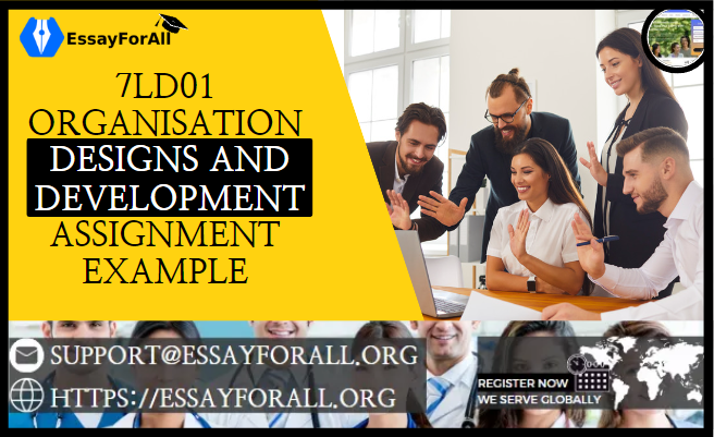 7LD01 Organisation Designs and Development Assignment Example: Essay ...