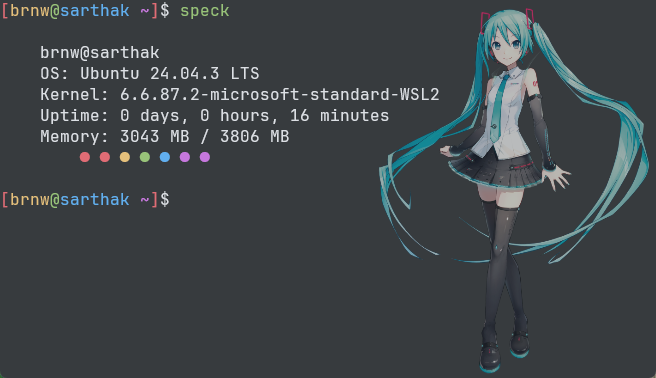 Speck: A Tiny, Colorful System Info Tool | by Sarthak Baranwal | Sep ...