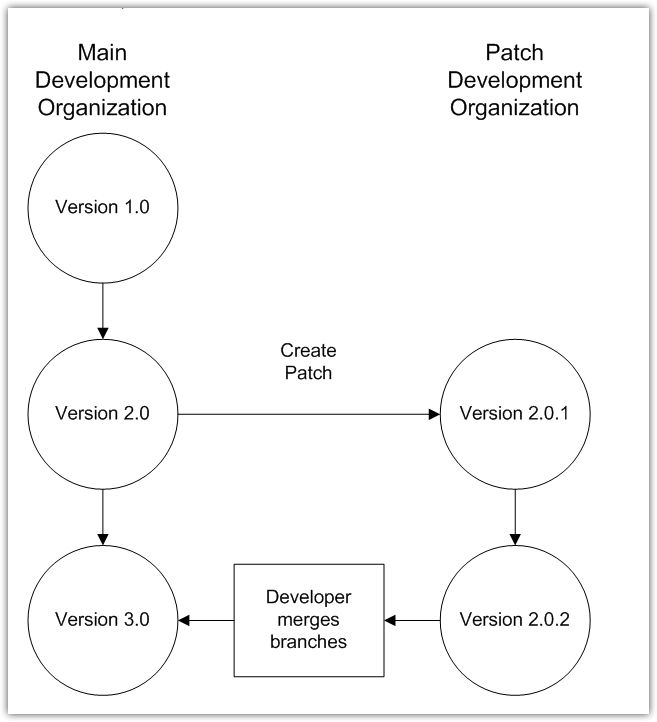 Dealing with Salesforce Patch Development - [Managed Packages] | by Vimal Tiwari | Elevate Your ...