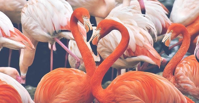 Who is bringing you down today?. Hello lovely you and welcome to a brand… | by Prue Sinclair ...