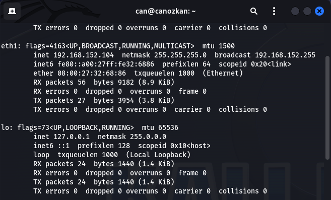 Penetration Testing — Scanning with Nmap | by Can Özkan | Medium