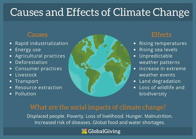 Climate Change: Causes, Effects, and Solutions | by Zohaib Bin Aslam ...