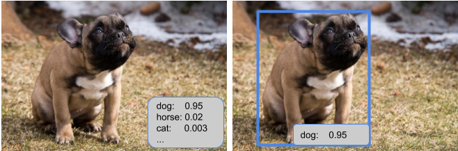 Transfer learning with Mask R-CNN | by Chuan Li | Medium