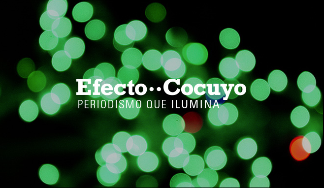 Efecto Cocuyo: Venezuela's Firefly Effect, Shining Light in ...