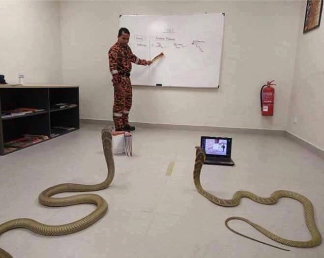 Tricky Python Ii Parameter Passing For Mutable And Immutable Objects By Tanya Kryukova Medium 6468
