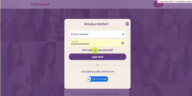 Tutorial On How To Login To Wildflings.com - Pintenca roger - Medium