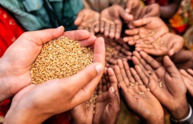 “The State of food Security in Pakistan” | by Memoona | Sep, 2024 | Medium