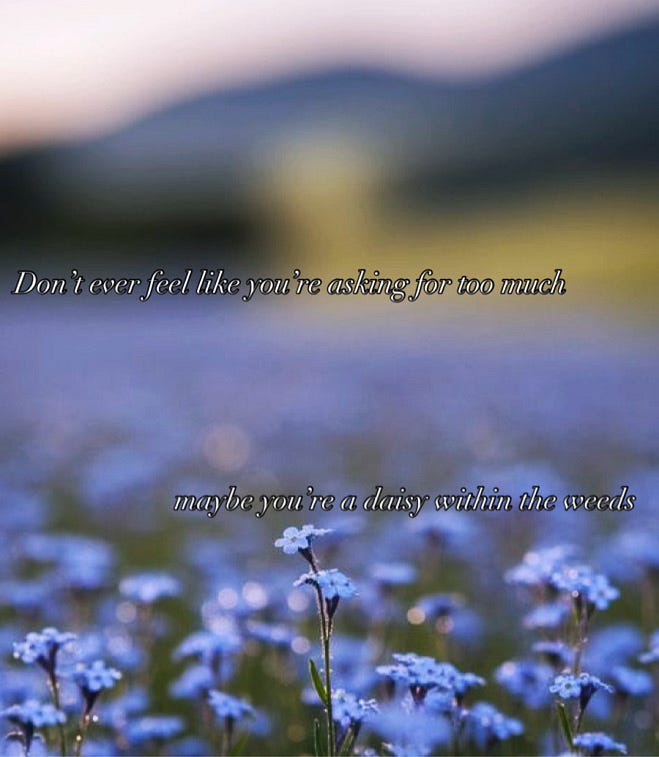 Nutrients of a Daisy. Don’t ever feel like you’re asking for… | by Magu ...