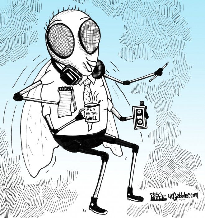 The Fly on the Wall has seen some shit | by The Gabbler | The Gabbler ...