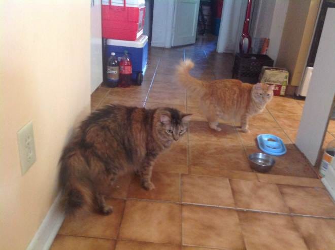 Python Lesson 43: Intro to Computer Vision Part Two-Writing & Saving ...