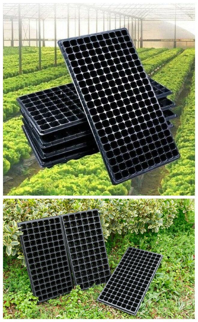 Technical Specifications For Melon Seedling Plug Tray | by Lisa | Medium