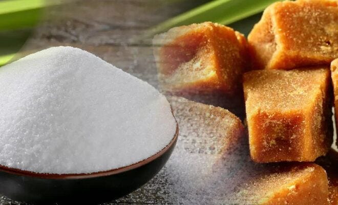 Sugar vs Jaggery: Comparison of Health And Environmental Impacts | by ...