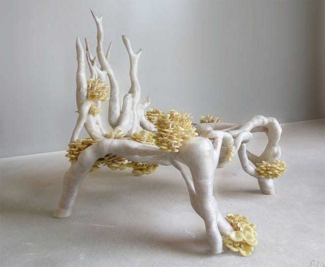 Meshmixer Models + 3D Processes. This week I experimented with… | by ...