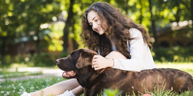 Man’s Best Friend : Dogs - do aryan - Medium