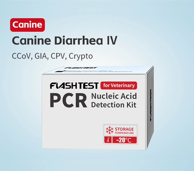 Canine Diarrhea Pathogen IV Nucleic Acid Test Kit (Dry) | by FLASHTEST ...