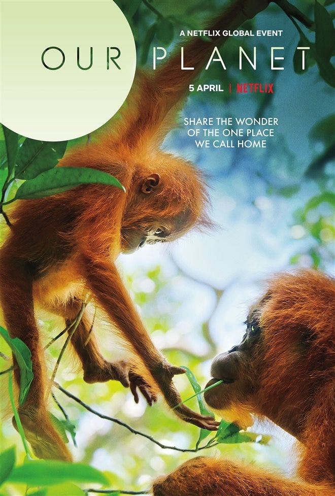 Lights, Camera, Sustainability: Must-Watch Shows on Netflix for ...