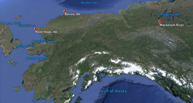 Arctic Salmon. The Geography of Salmon | by Salmon World | Medium