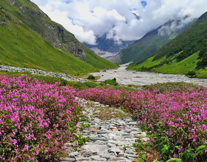 Valley of Flowers Trek: A Bucket List Adventure for Nature Lovers | by ...