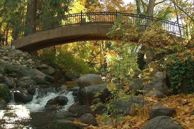 The History and Future of Lithia Park | by Henry Eggleston | Medium