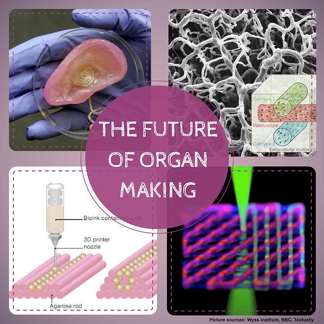 Would You Like Your Organ Printed or Recycled? | by Kristina ...