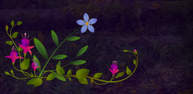 The Magical Garden of Lucinda Mae | by Haley Jean | Medium