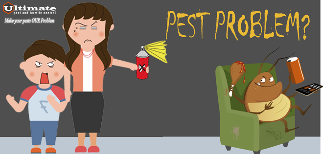 Steps Involved in Effective Pest Control Services | by Paul Hosey | Medium