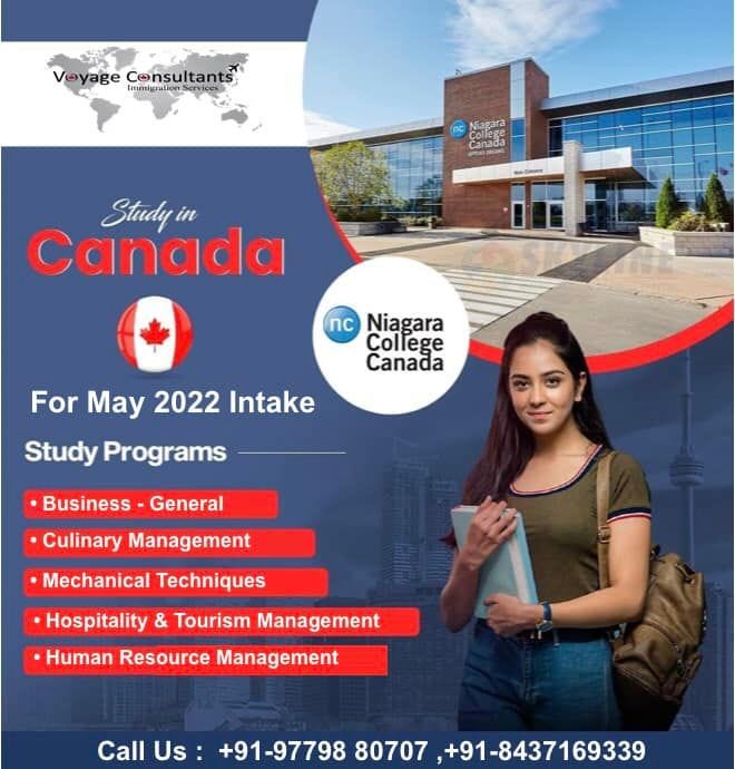 Best Immigration & Visa Consultant in Kurali, Mohali, Chandigarh | by Voyage Immigration ...