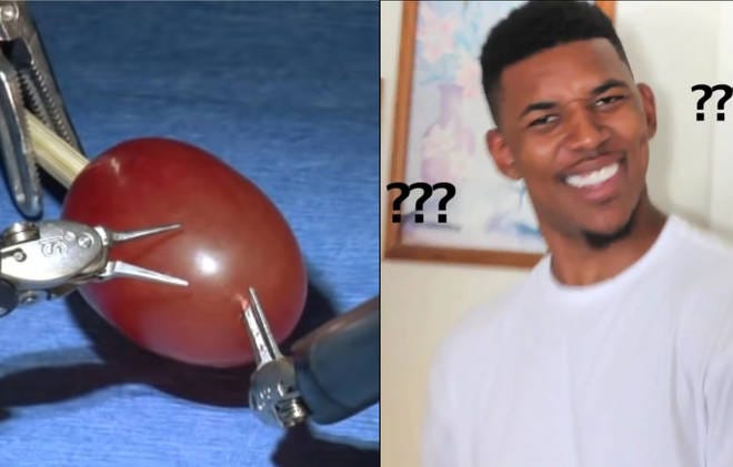 Scientists Did What?! Surgery on a Grape | by Rachel Hostetler | Medium