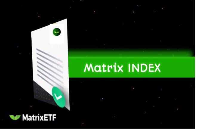 ABOUT MATRIX INDEX. WHAT IS MATRIX INDEX | by Ifure Ekanem | Medium