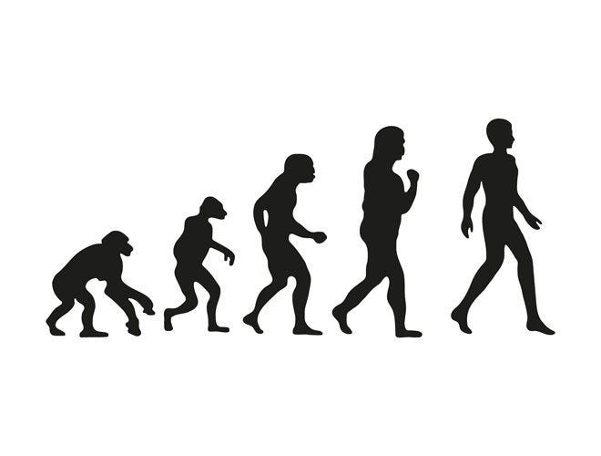 Scientists Against Evolution - Book List | by Jonathan Rufenacht | Medium