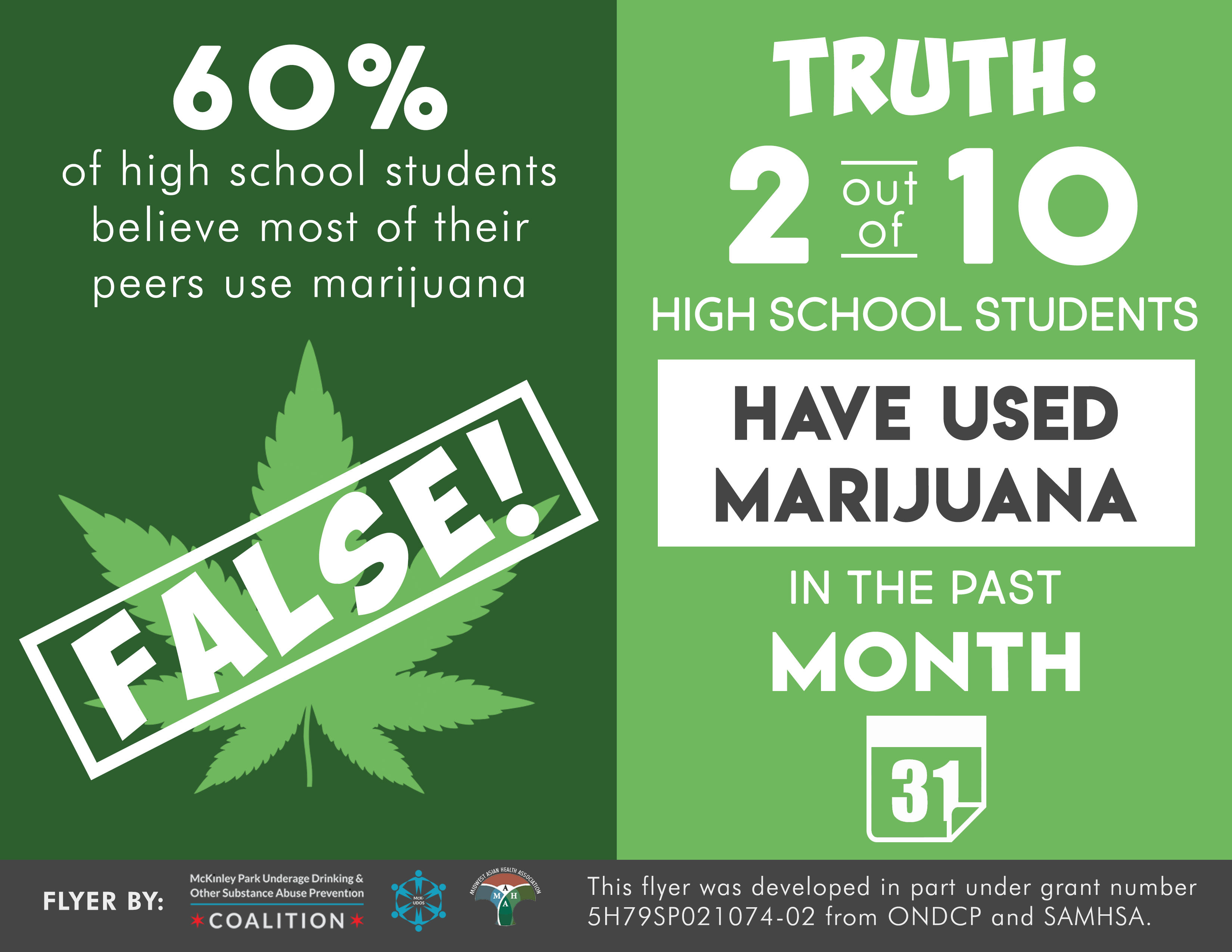 Youth Alcohol Abuse Prevention Flyer