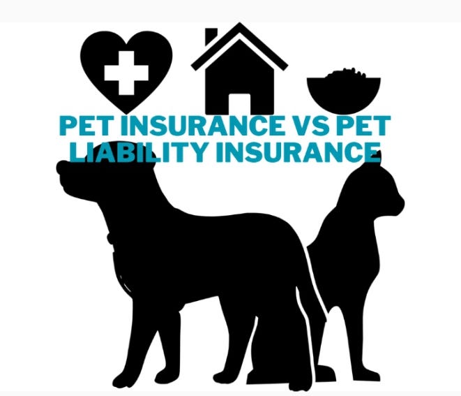 Pet Insurance vs Pet Liability Insurance: What’s The Difference? | by Infohub | Medium