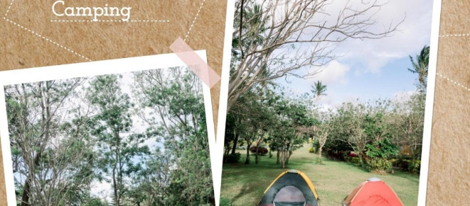 Exploring Nature’s Beauty: Camping Event Venue in Alfonso | by ...