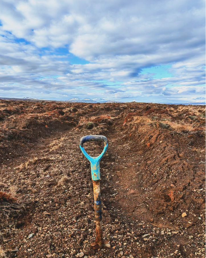 The Tree Planting Series V. — Lessons of Being an Amateur Again | by ...