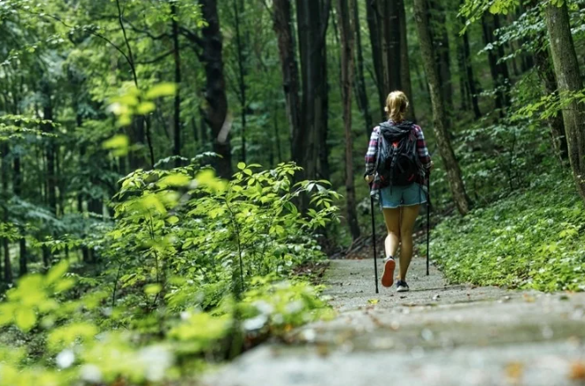 My thoughts after a walk in an urban forest. | by Walker | Sep, 2025 ...