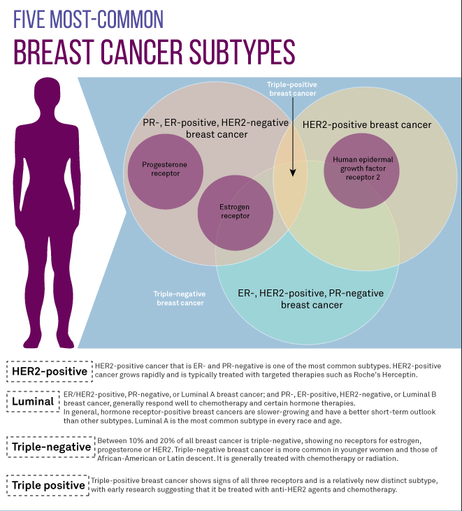 HR-Positive Breast Cancer Treatment | by sinchan saha | Medium