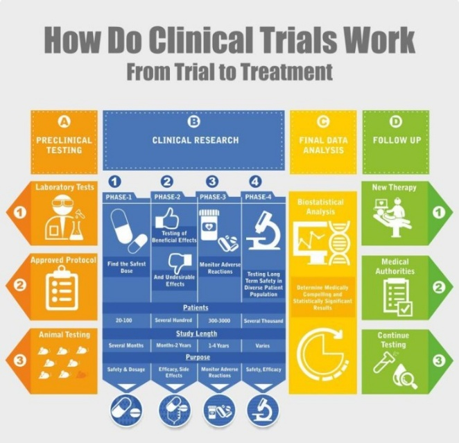 Clinical Trials & It’s Phases | by Mansi shukla | Aug, 2024 | Medium