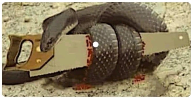 CONTROL YOUR ANGER, the importance of taking things easy - Celebnob ...