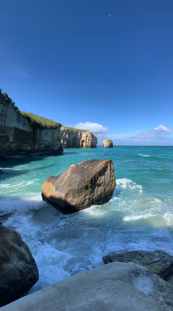 7 Reasons to leave North Dunedin (for the day) | by Momentum Tutoring ...