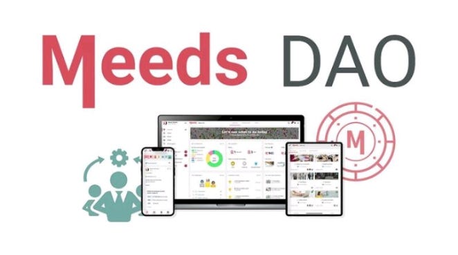 Unlocking the Future of Work: Meeds DAO’s Cross-Functional Team ...