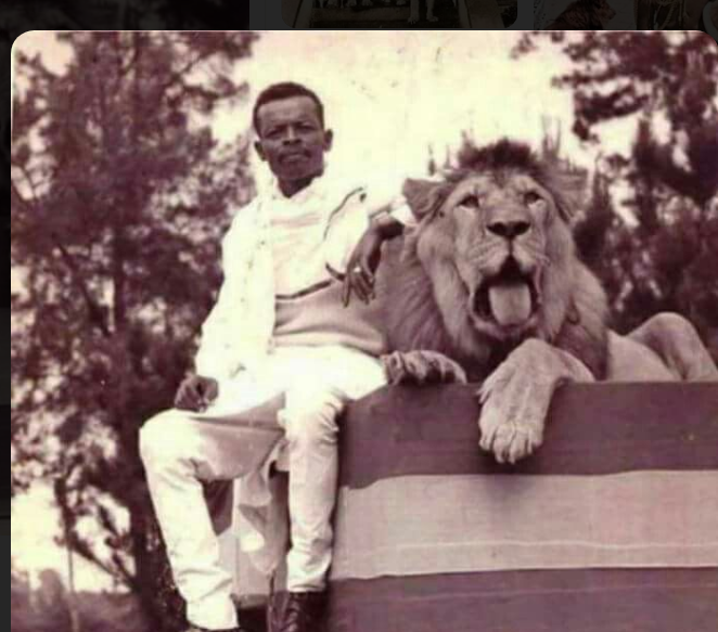 The Untold Story of Mr. Gebre and Mekuria, Ethiopia’s Most Famous Lion ...