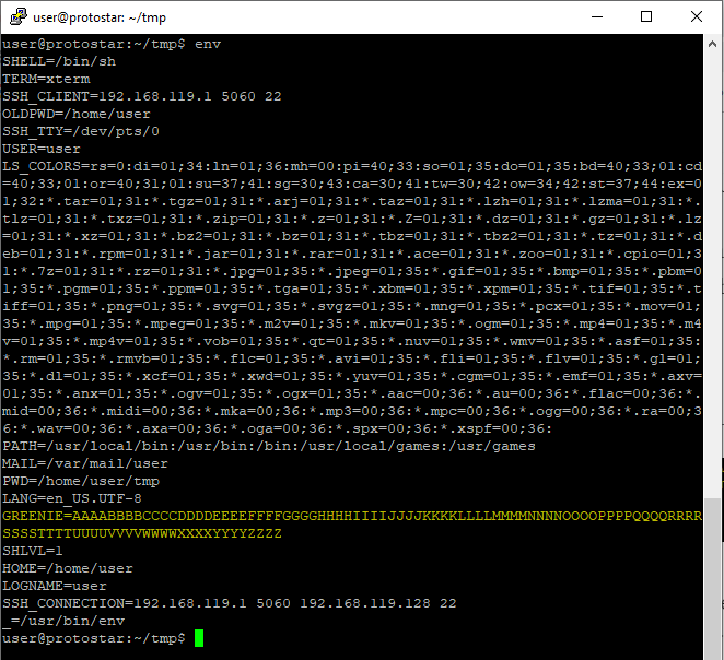Exploit Education (Protostar). This Blog post is for my own benefit, I… | by MovSec | Medium