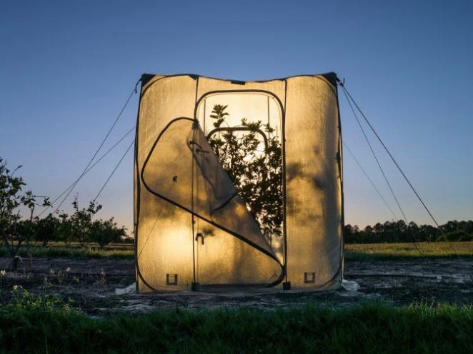 The Future for Crop Protection: Bactericides or Heat Treatments? | by ...