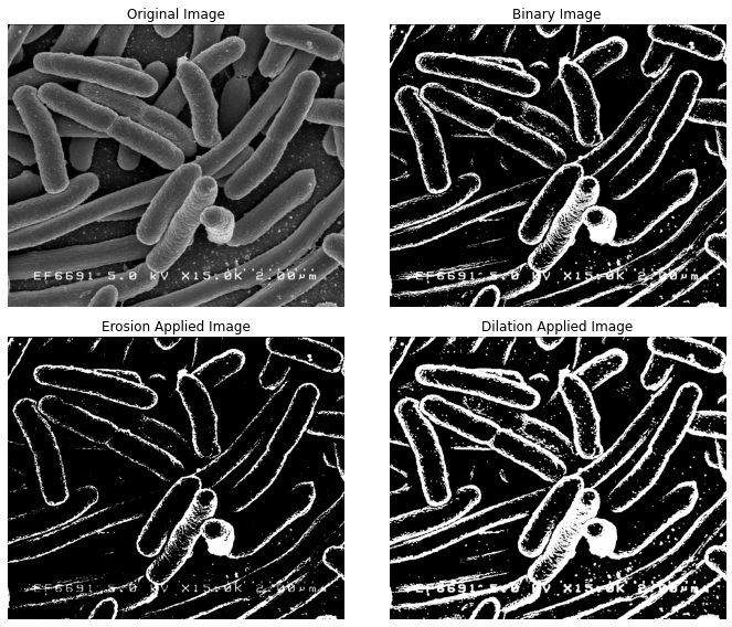 Image Processing Tutorial Using scikit-image — Morphological Operations ...