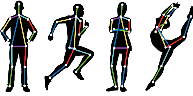 Smart Fitness Trainer Using Computer Vision and Pose Estimation | by ...