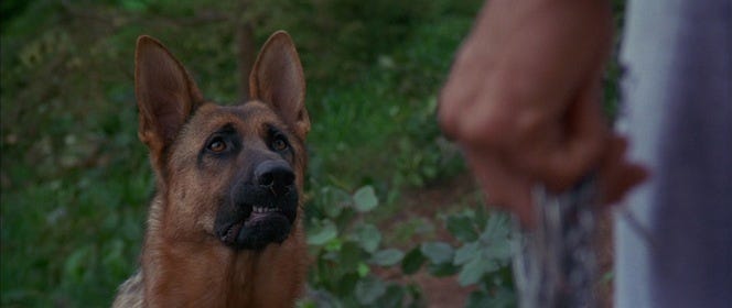 Bad Moon/Thor: Dog Bites Wolf Man | by Jacob Crawford | Medium